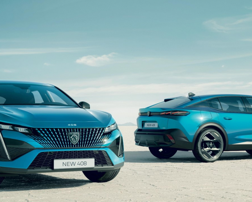 Herzlich Willkommen bei der Pflanz Gruppe!